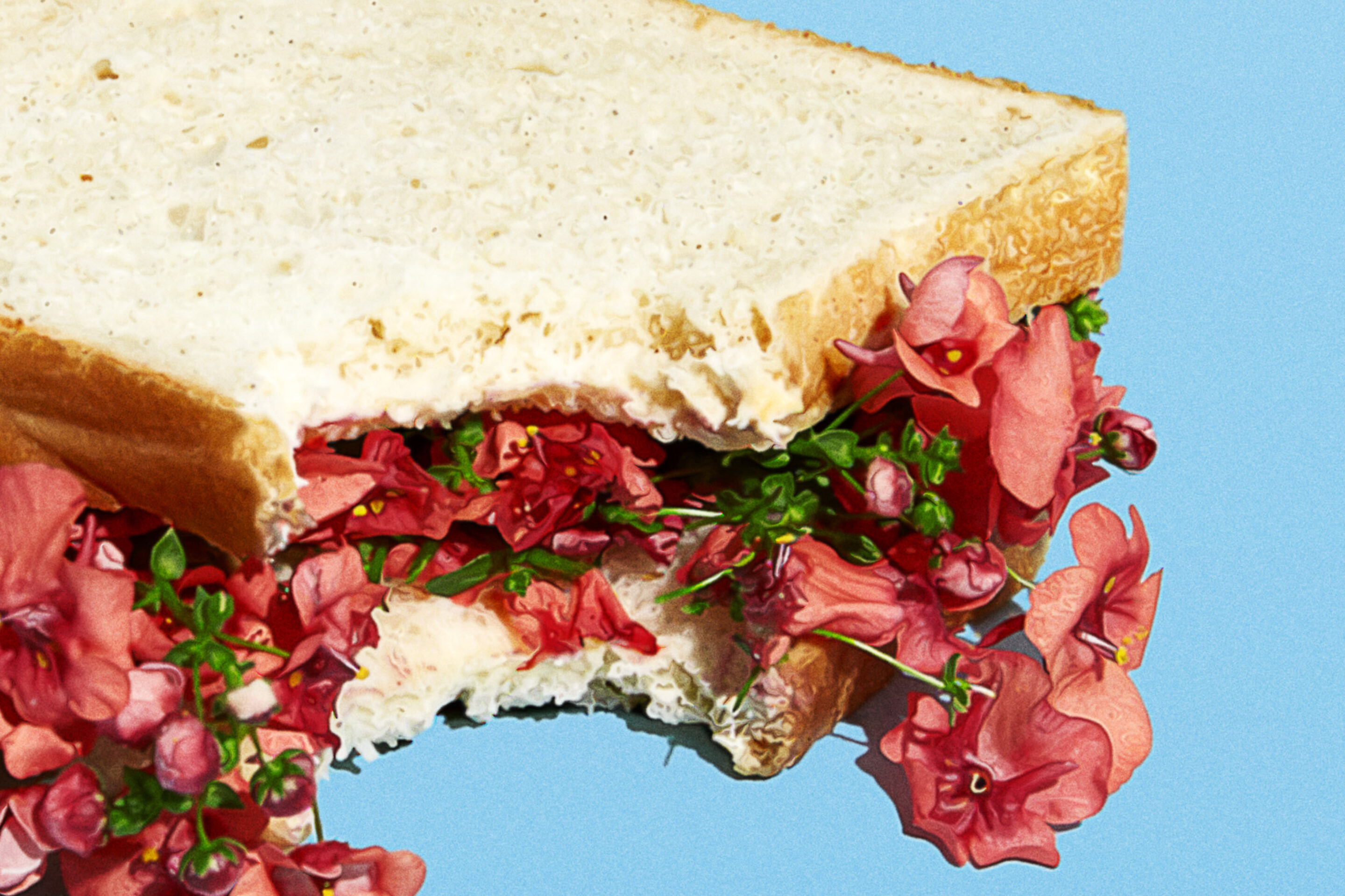 Flower Sandwich — Supermercat