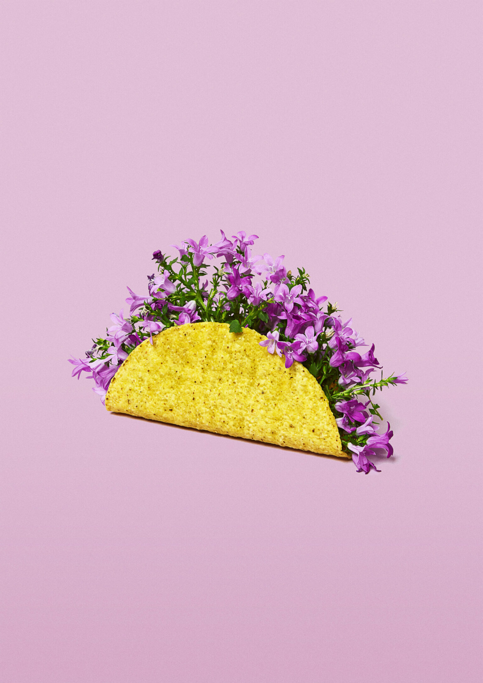 Flower Taco — Supermercat