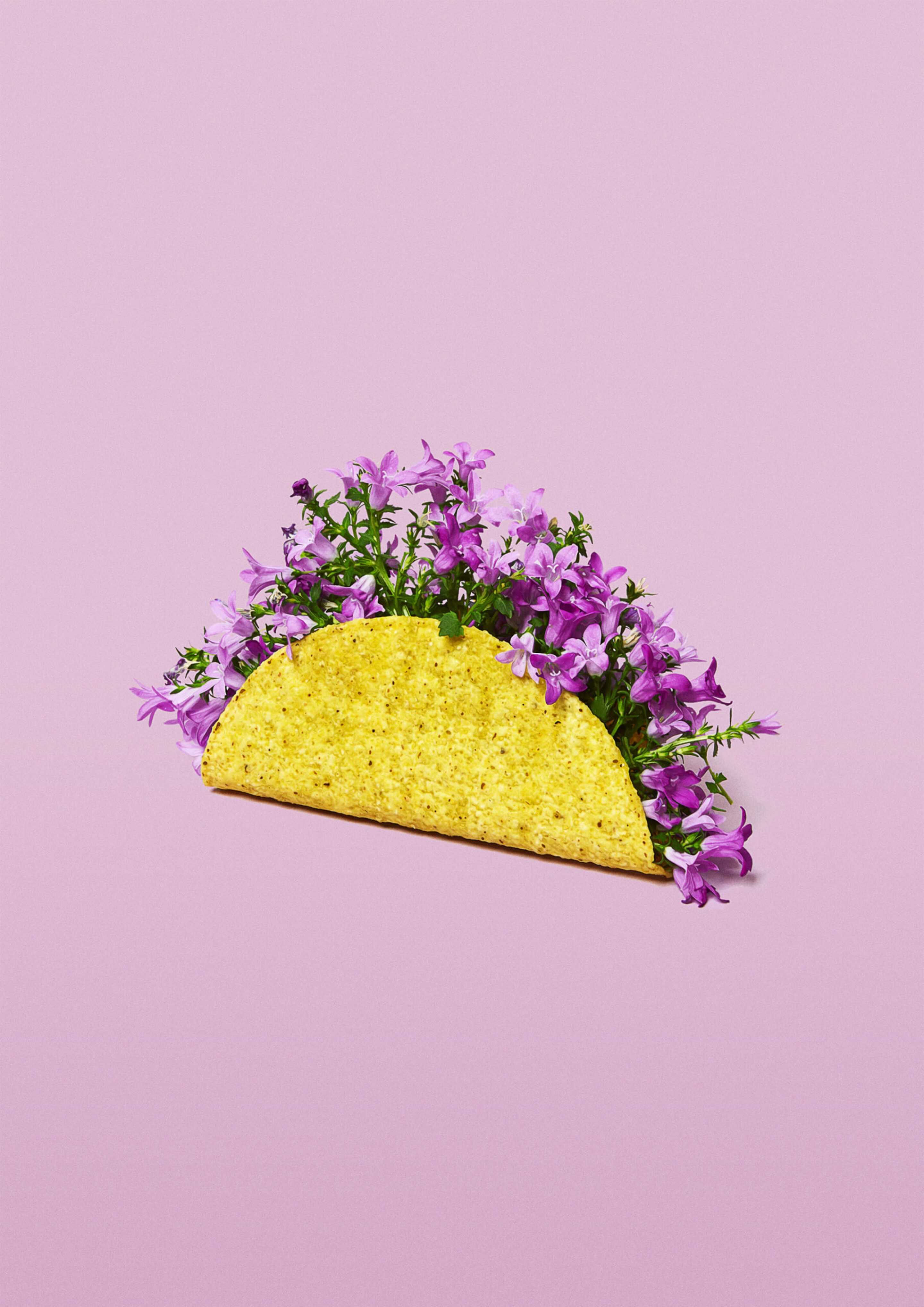 Flower Taco — Supermercat