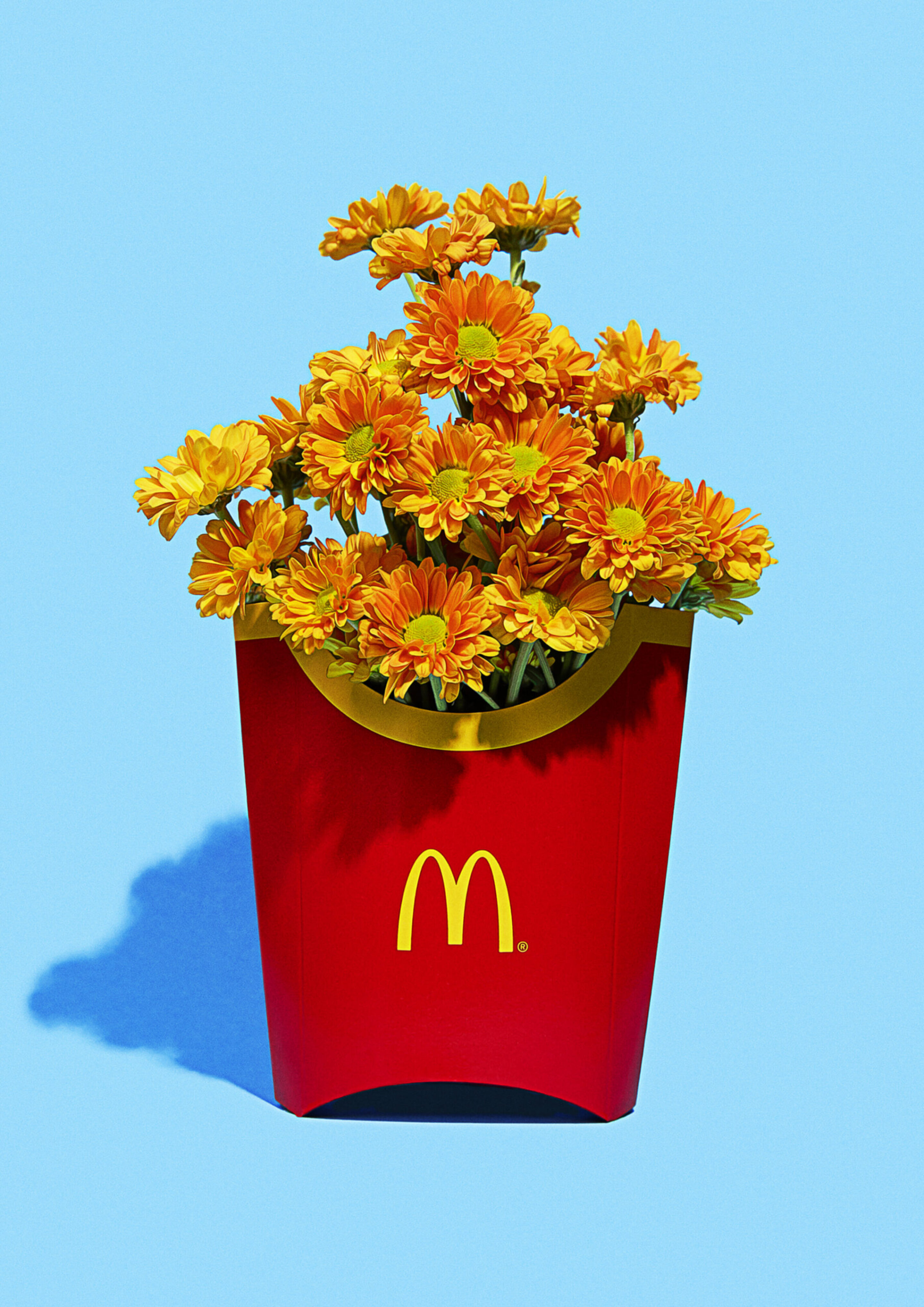 Flower Fries — Supermercat